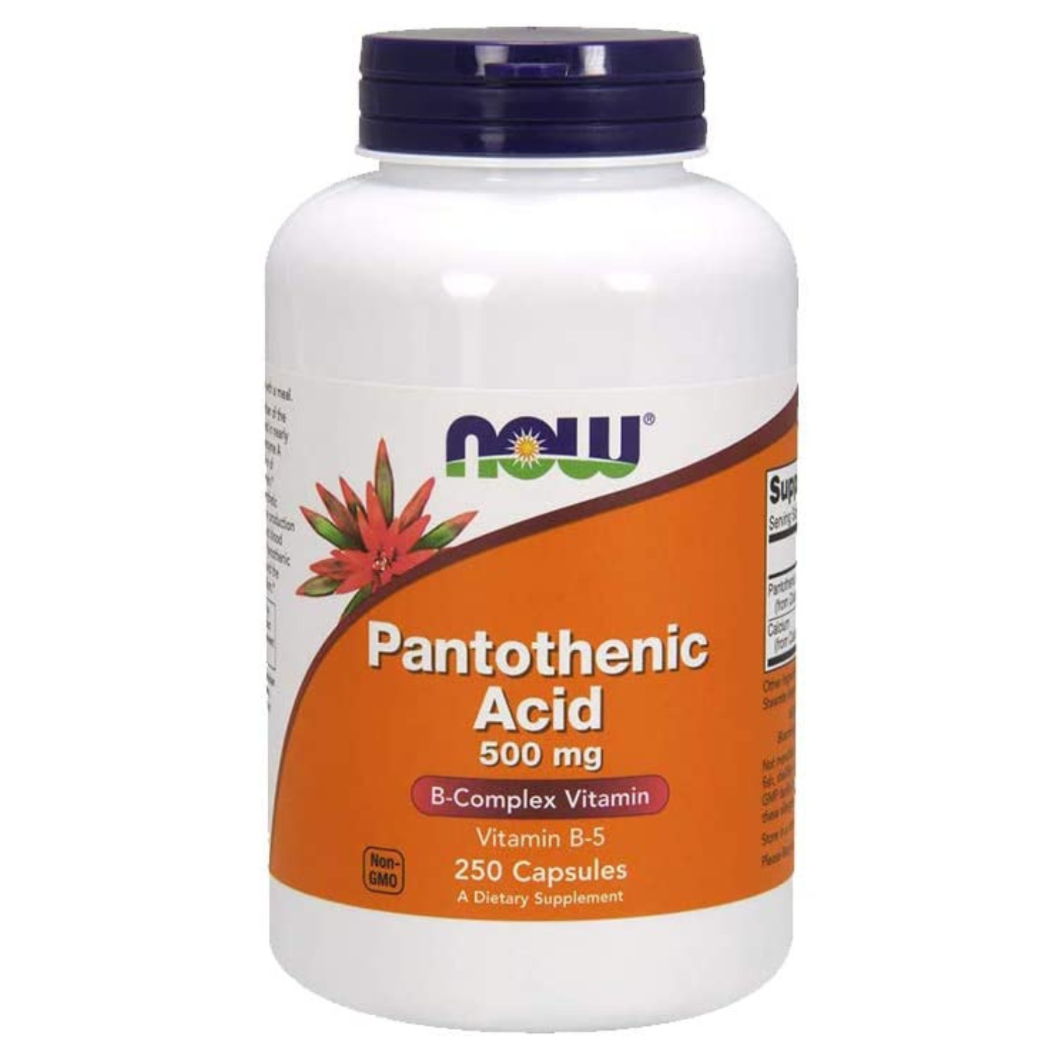 ACIDO PANTOTENICO 500 MG NOW PANTOTHENIC ACID CON CALCIO 45 MG 250 CAP ...